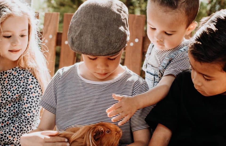 Variety Children's Zoo opens - perfect timing for school holidays!