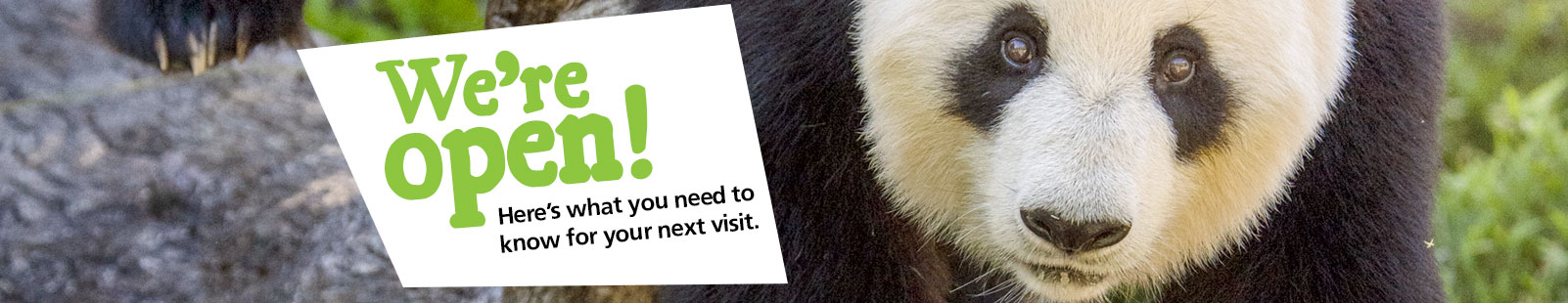 Adelaide Zoo Tickets and Memberships - Share the wonder of wildlife