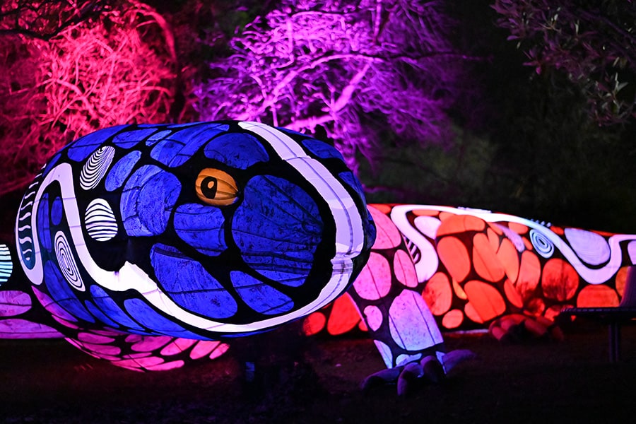 Light Creatures - Adelaide Zoo