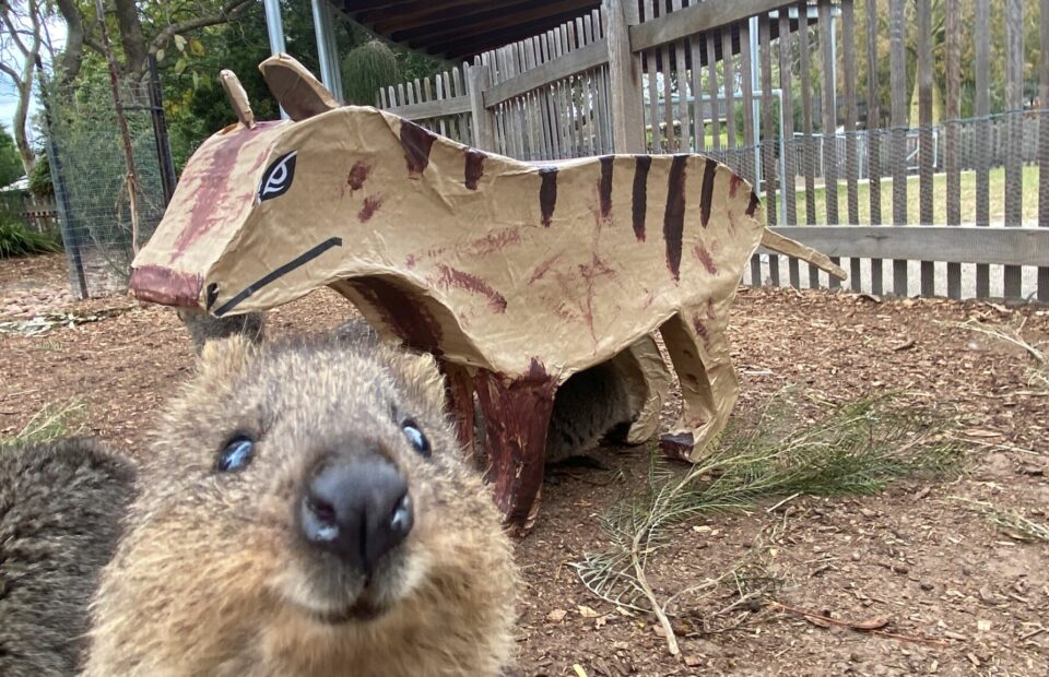 14 Amazing Xray Photos From A Zoos Annual Animal Health