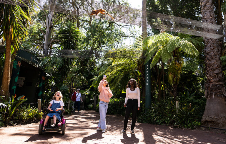 Accessibility at the zoo - Adelaide Zoo