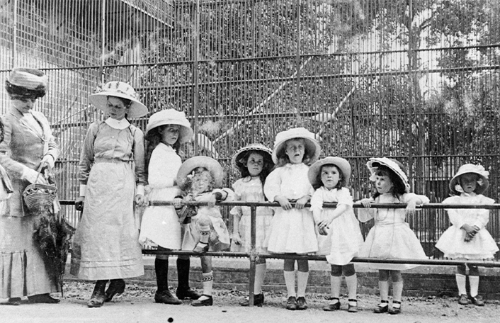 Adelaide Zoo's 140th Birthday - Adelaide Zoo