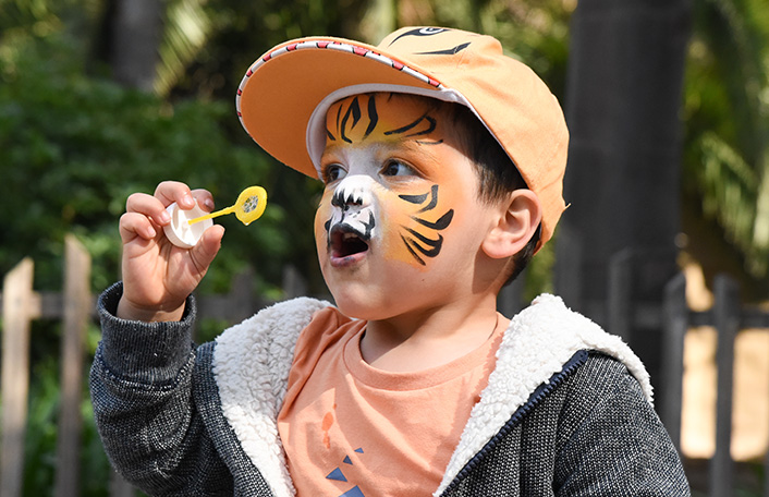 International Tiger Day - Adelaide Zoo