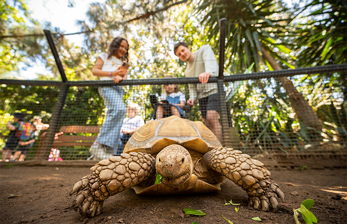 Accessibility at the zoo - Adelaide Zoo