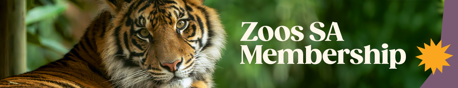 Zoos SA Memberships - Unlimited Entry to Adelaide Zoo