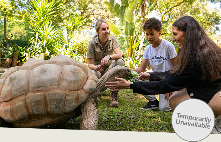 Animal Experiences – Adelaide Zoo