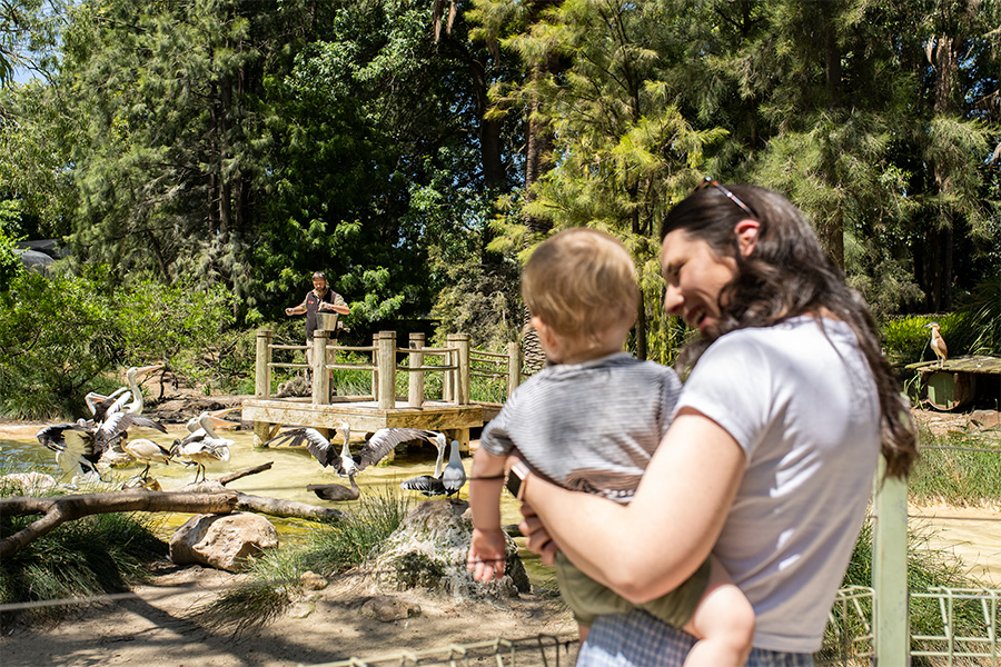 Mother's Day at Adelaide Zoo - Adelaide Zoo
