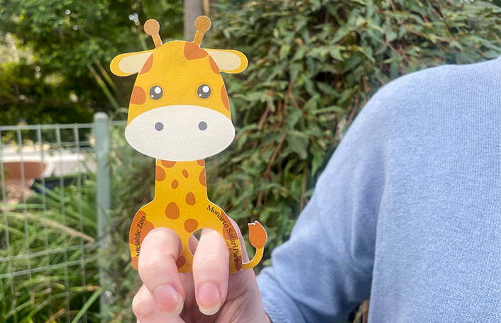 World Giraffe Day - Adelaide Zoo