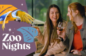 Zoo Nights at Adelaide Zoo - Wild night out this summer - Adelaide Zoo