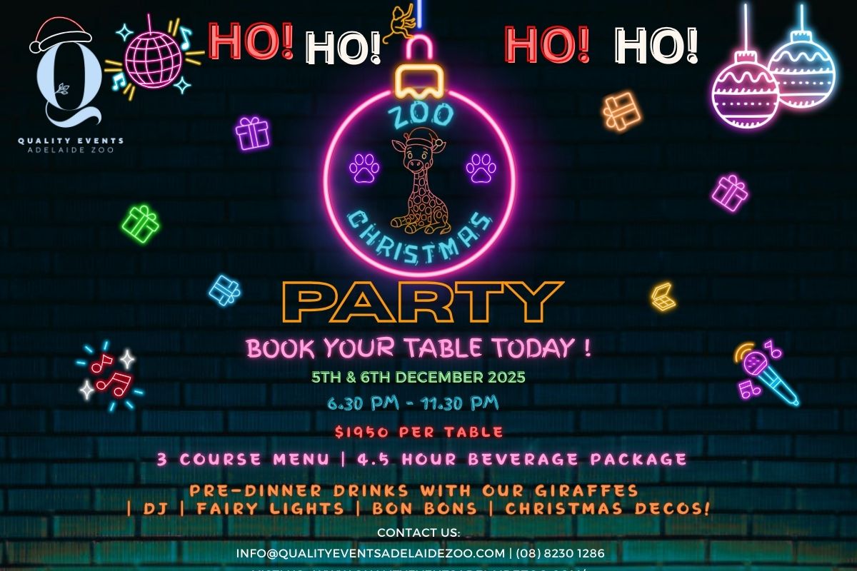 Zoo Christmas Party Nights with Quality Events - Adelaide Zoo