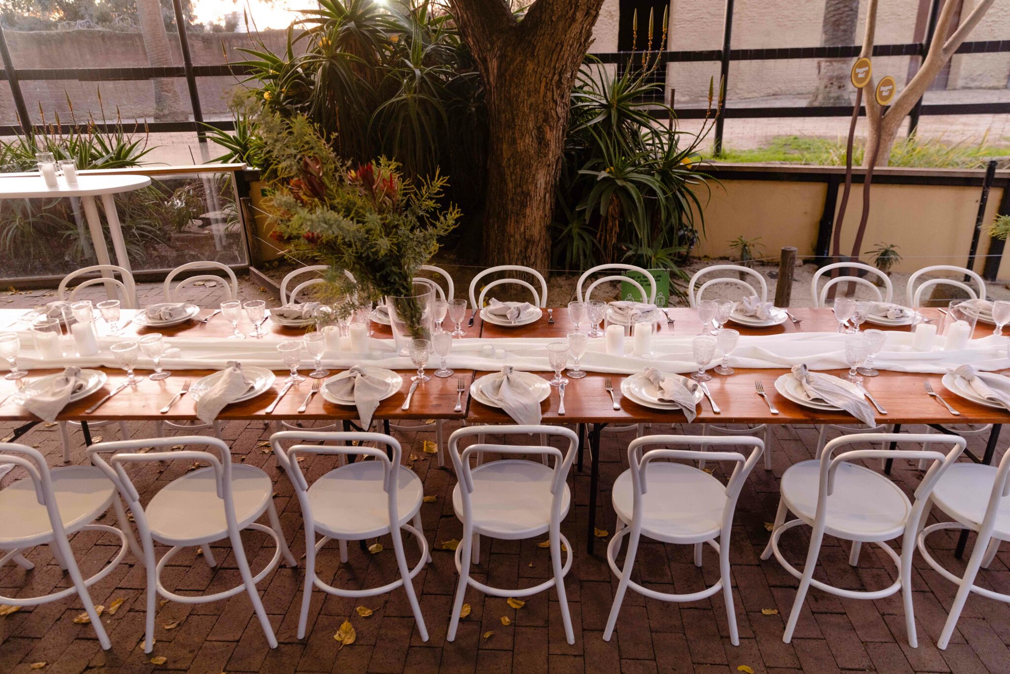 Giraffe Courtyard - Adelaide Zoo
